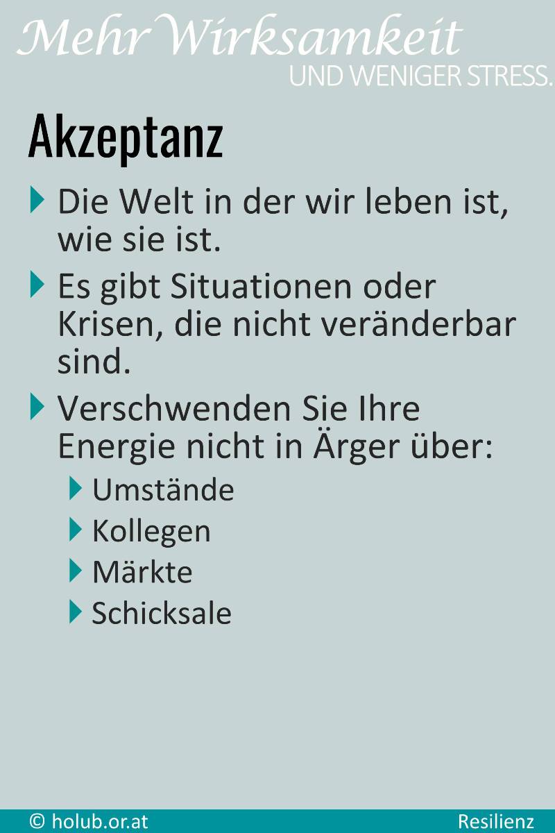 Resilienz | Mehr Wirksamkeit und weniger Stress | Mag. Michael HOLUB
